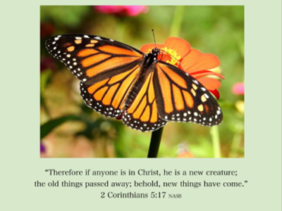New Creature | By Faith Ministries