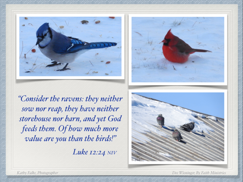 Consider the Ravens | By Faith Ministries
