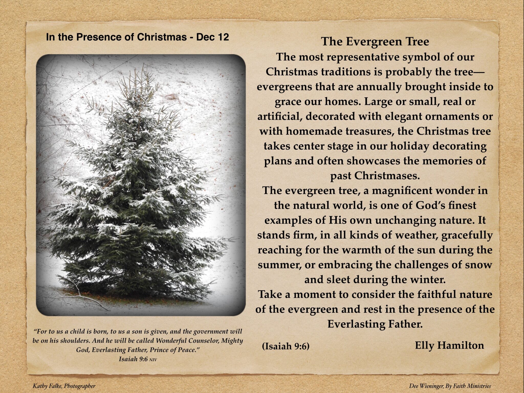 The Evergreen Tree | By Faith Ministries